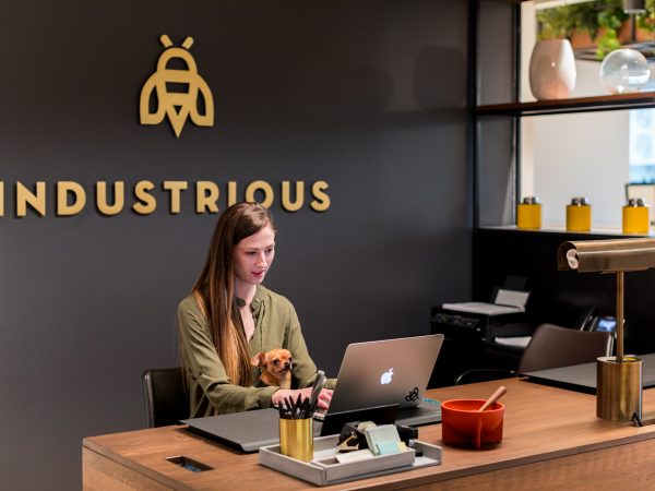Industrious Office | Celebrating World Productivity Day