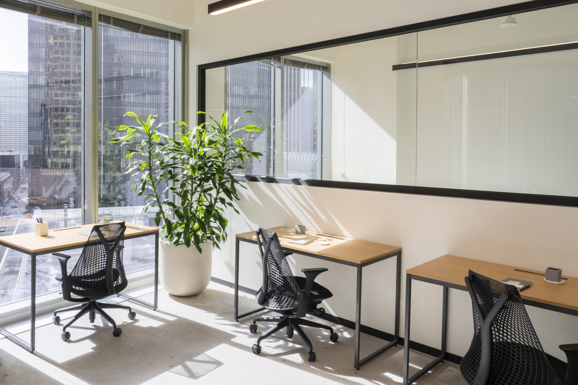 Inside Look: Lake Union in Seattle, WA | Industrious Office